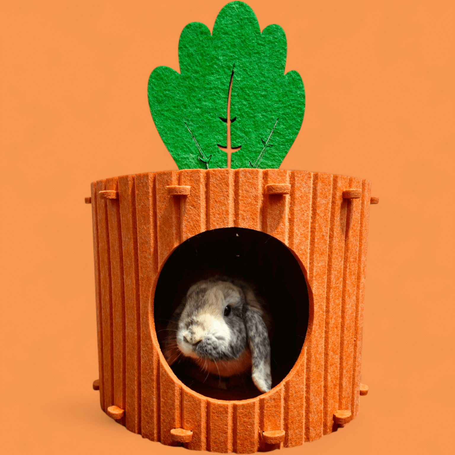 Rabbit Bed Carrot Hideaway - Pets Playstore